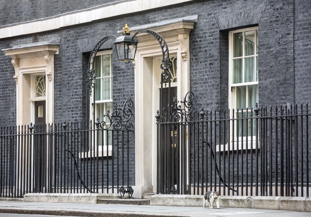 PM gets new expert adviser on health | Health Business
